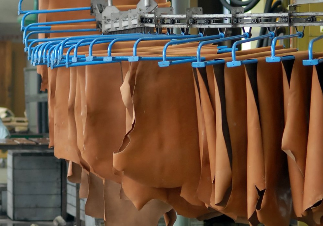 Processing Belts